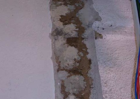 Termite mud tubes - Termite Web